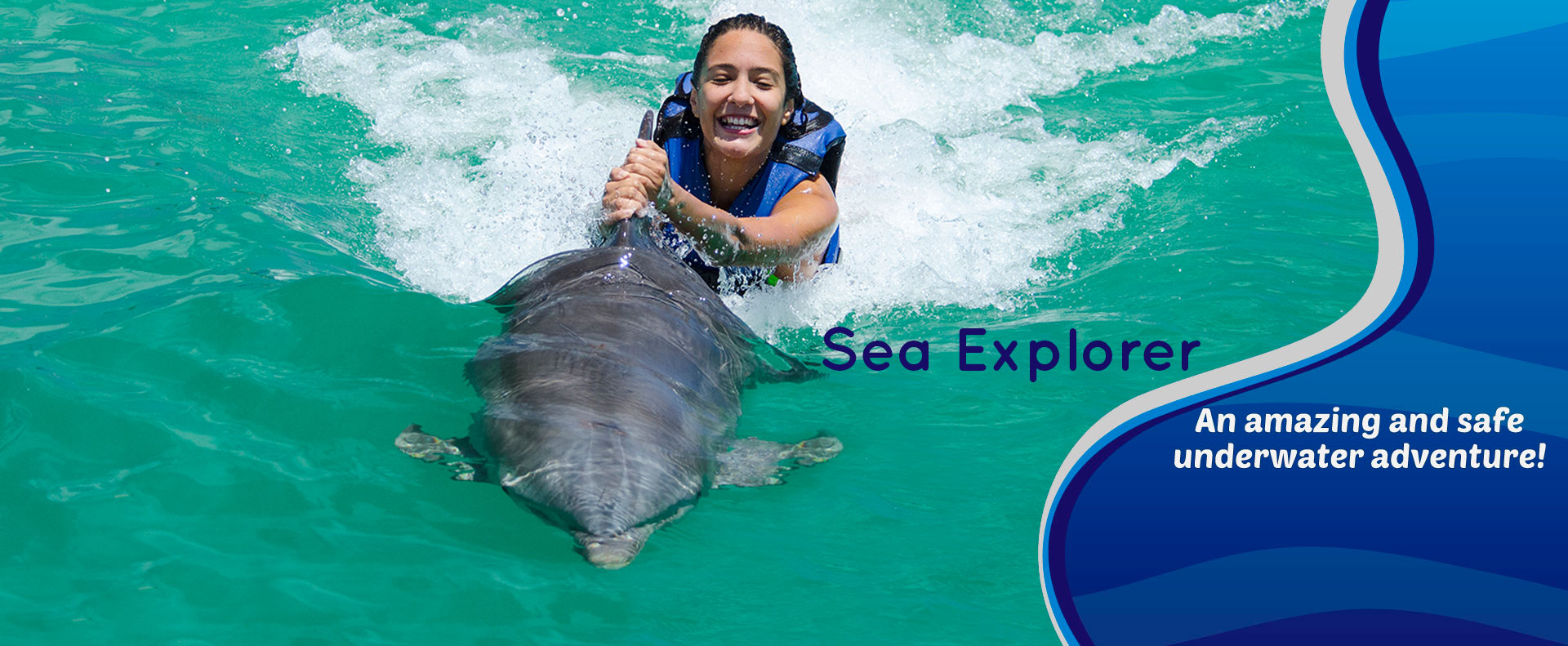 Dolphin Explorer - Explore and discover the impulse of nature!